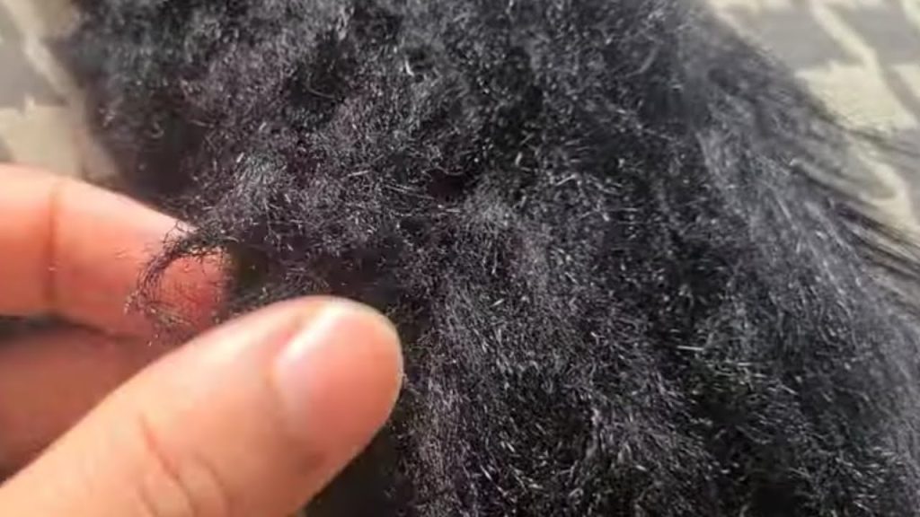 How to Fix Matted Faux Fur After Dryer - Dryer Enthusiast