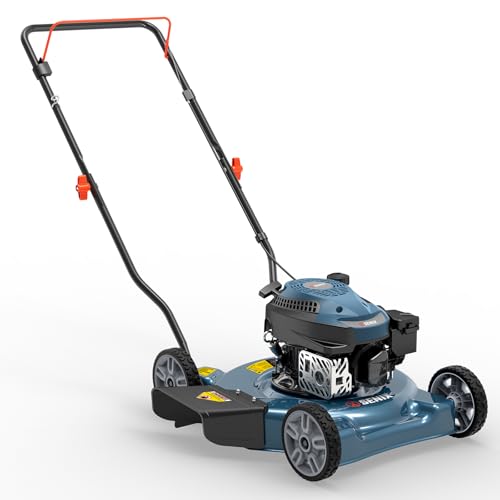 Best Push Gas Lawn Mower: Top Picks for Effortless Lawn Care - Dryer ...