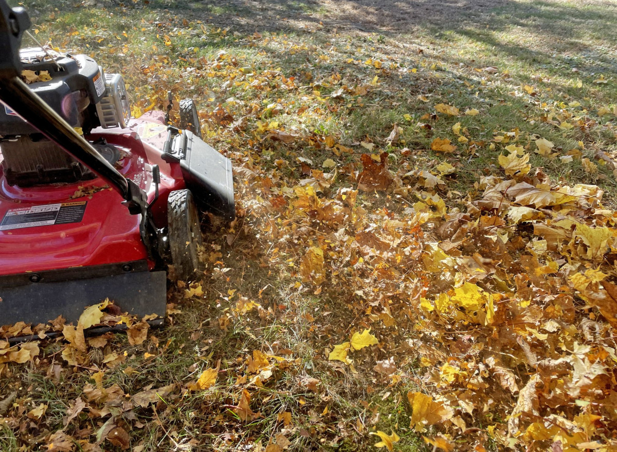 Can You Mulch Leaves With a Lawn Mower - Dryer Enthusiast