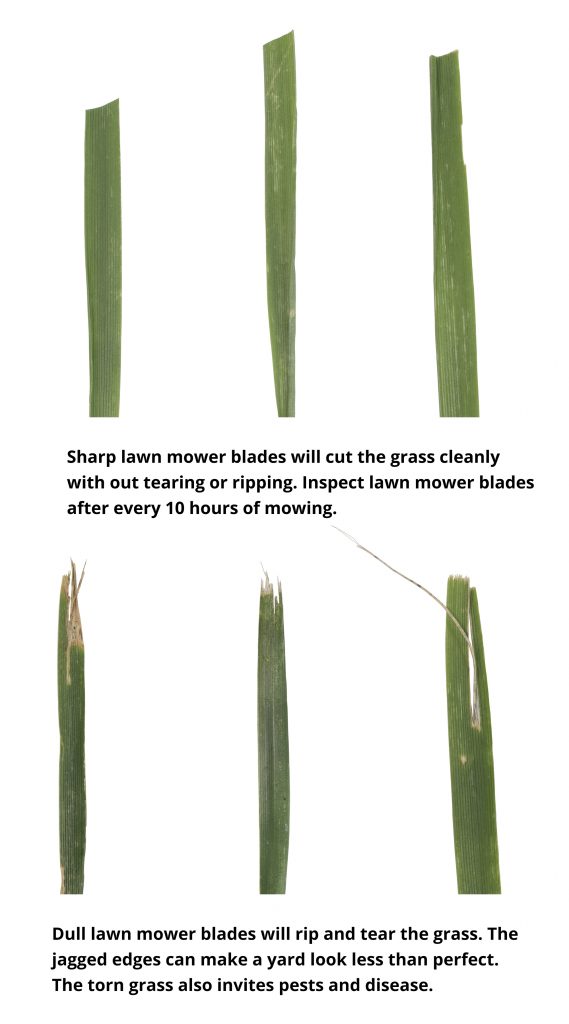 Why are Lawn Mower Blades Not Sharp - Dryer Enthusiast