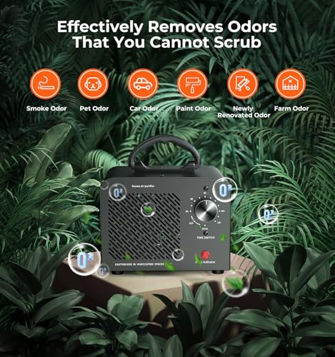 Top 7 Ozone Generator For Mold: Best Picks 2025 - Dryer Enthusiast